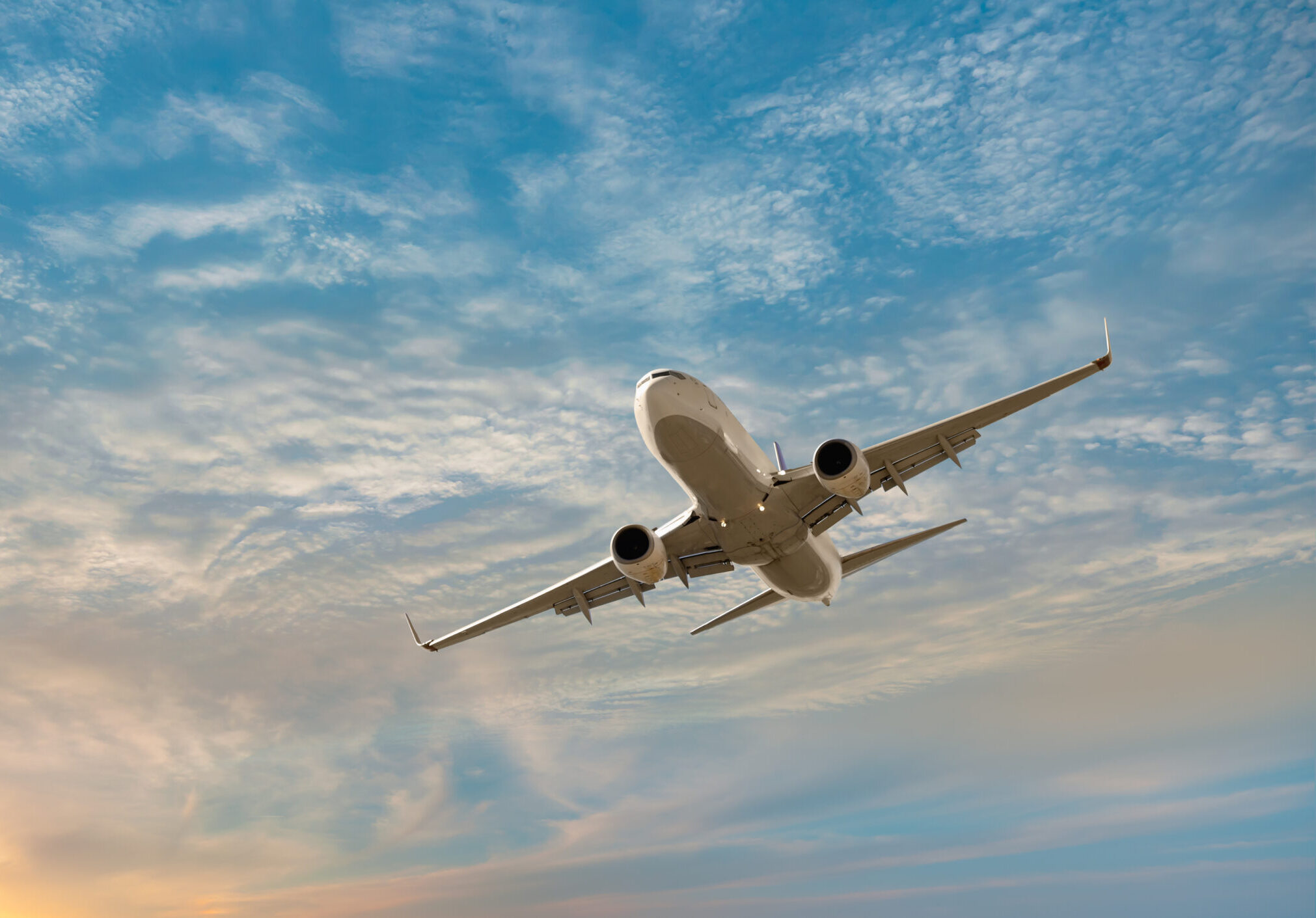 Nova Brand Projection - Integrated Marketing Experts